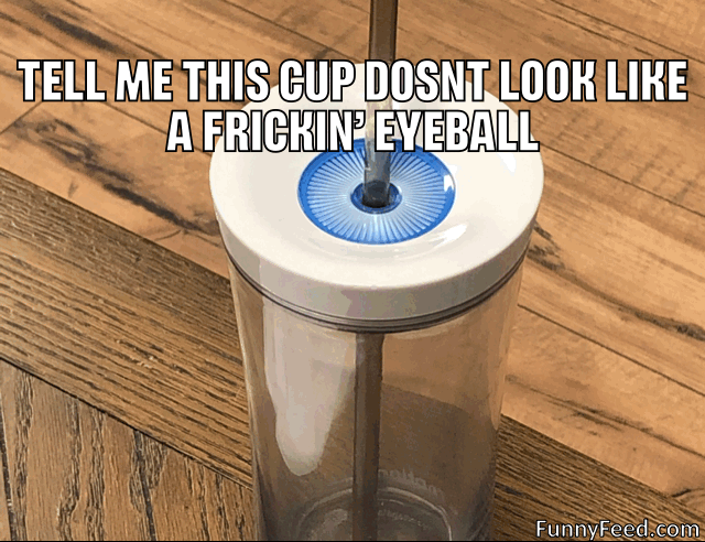 Free Meme Generator, Editor, Gif Maker | Funny Feed